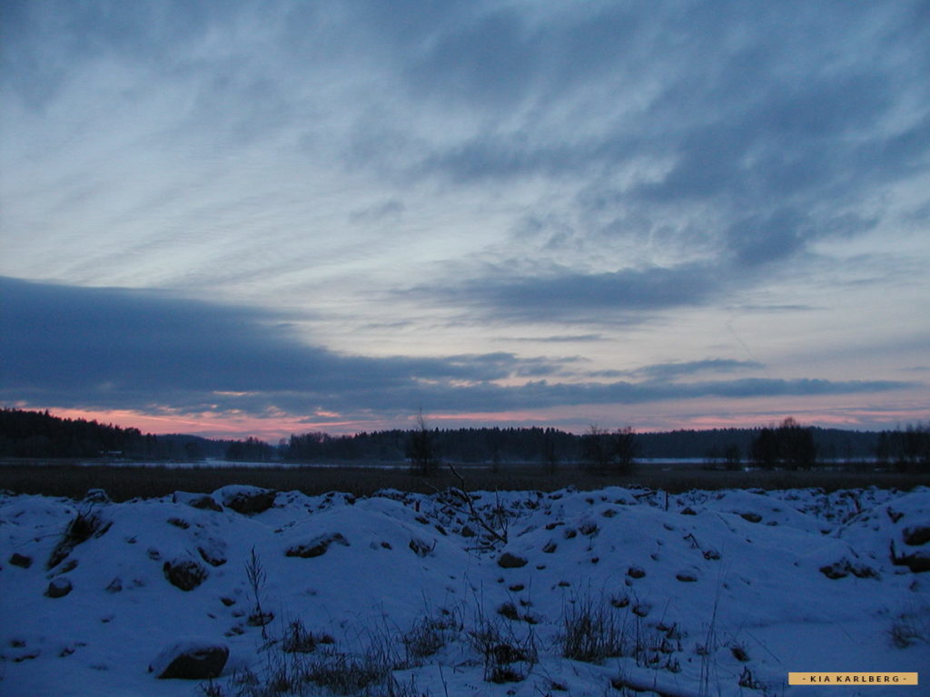Bildgalleri: Så skapade vi konstnärshemmet Villa Kia – Kia Karlberg ...